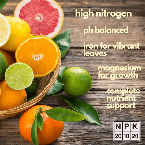 Citrus Fertilizer High Nitrogen Citrus Tree And Plant Fertilizer With
