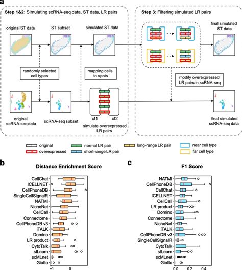 Evaluation Using Simulated Datasets A The Schematic Illustration Of