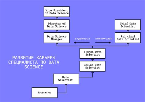 Отличия аналитика данных от Data Scientist в чем разница между специальностями