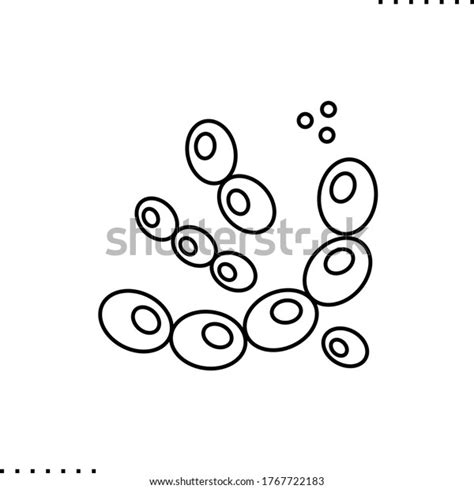 Lactococcus Vector Icon Outlines Stock Vector Royalty Free 1767722183 Lactococcus Vector Icon Outlines Stock Vector Royalty Free 1767722183