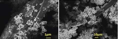 Scanning Electron Microscope Sem Photographs Of Caco3 Deposited In Download Scientific