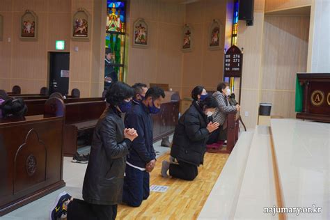 💗나주 성모님 피눈물 흘리신 37주년 기념일 기도회 사진 📷😊🙏🏻 사진 게시판