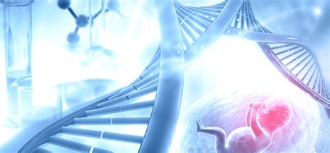 Fetal Testing And Treatment Kanad Mfm