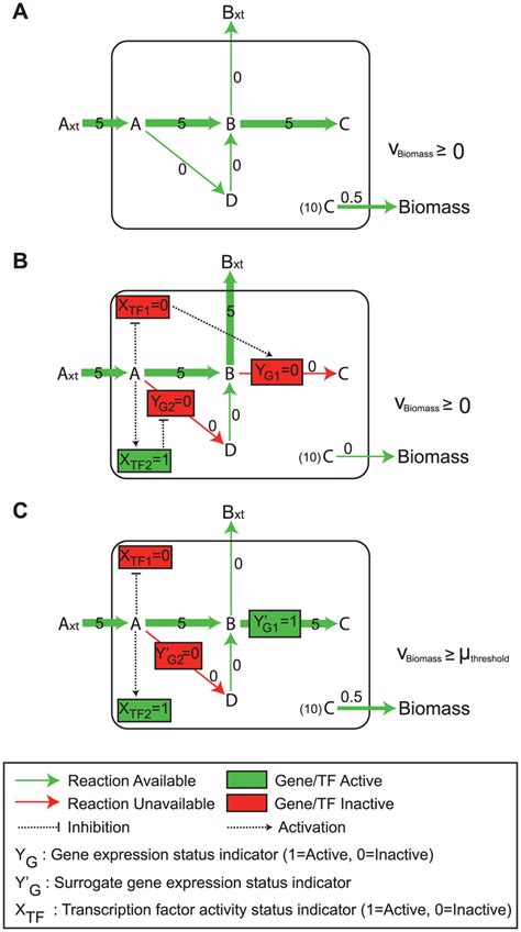 Example Network Illustrating the GeneForce Approach. (A) Predicted ...