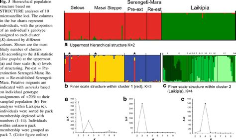 Hierarchical Population Structure Based On Structure Analyses Of 10 Download Scientific Diagram