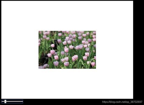 Canvas 图片处理（缩放、旋转、裁剪、合并、文字）canvas 以图片中心缩放 Csdn博客