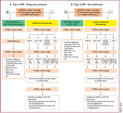 Type 2 Diabetes Treatment Algorithm