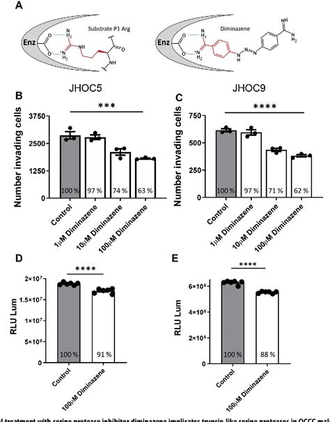 Figure 1 From Activity Based Protein Profiling Reveals Active Serine