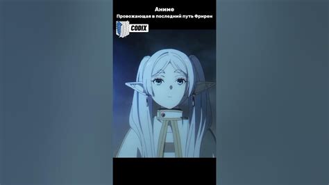 ФРИРЕН СПАСЛА СПУТНИЦУ 😯 Провожающая в послебний путь Фрирен аниме анимемомент Youtube