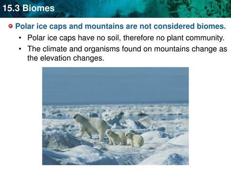 Ppt Key Concept Biomes Are Land Based Global Communities Of
