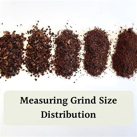 Coffee Grind Size Measurement Tool At Frederick Kowalski Blog