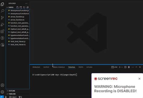 [video] tehreem asghar on linkedin day65 100 days codding challeng