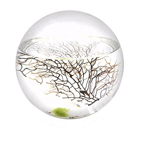Ecosphere Large Sphere Shoptogolf