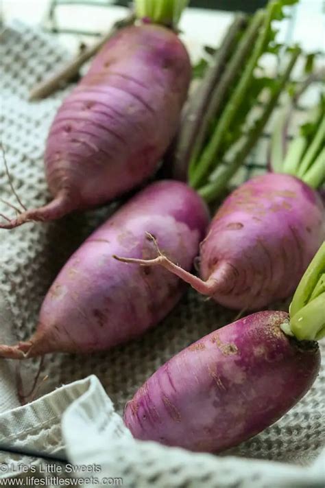 Purple Daikon Recipe 60 Photos