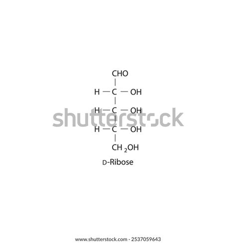 D Ribose Skeletal Structure Diagramsugar Compound Molecule Stock Vector