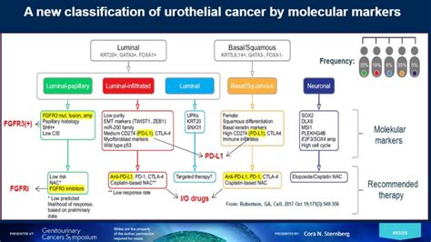 Asco Gu 2020 New Standards In First Line Therapy For Advanced Disease