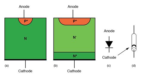 Zener Diode And Pn Junction Diode At Tayla Currey Blog