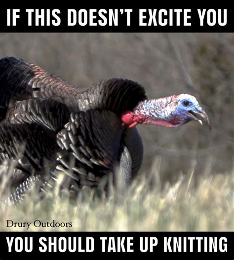 Funny Turkey Hunting Meme