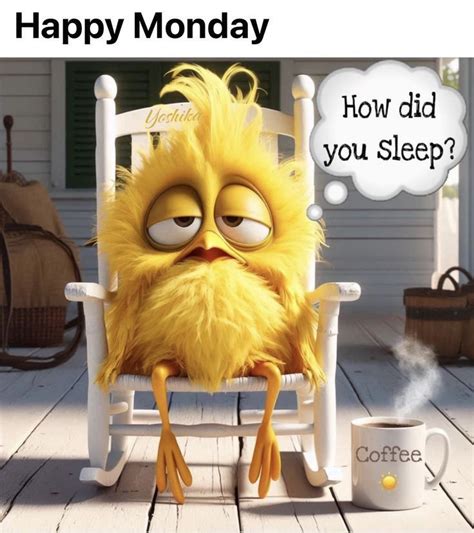 Pin By Mary Miller On Funny Monday Good Morning Funny Pictures Funny