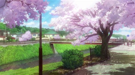 1500 Cherry Blossom Tree Anime Wallpapers
