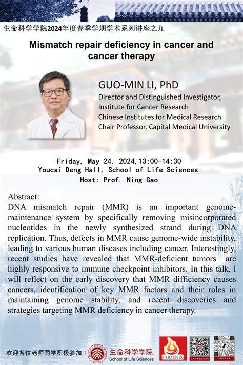 Mismatch Repair Deficiency In Cancer And Cancer Therapy