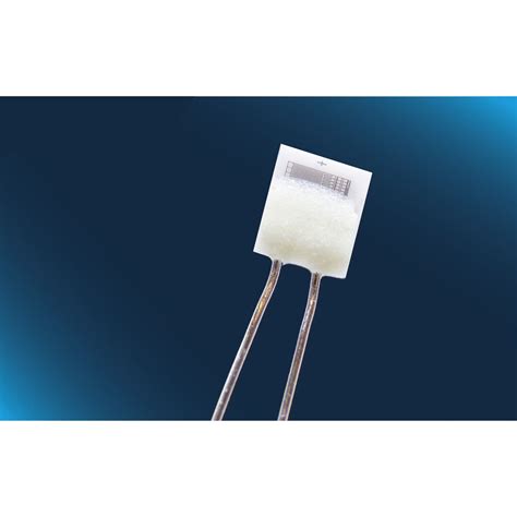 Pt1000 Temperature Sensor Innovative Sensor Technology Ist Ag Fast