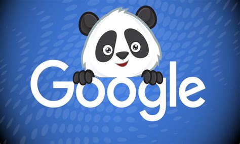 What Is A Panda Algorithm And What Are Its Functions Ded9