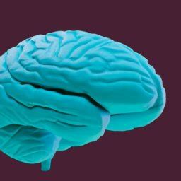 Free Ebook Complete Guide To NLP Neuro Linguistic Programming Cursa