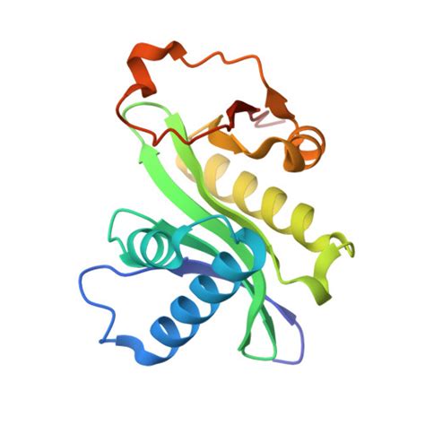 Gene Q92830 Protein Kat2a Overview Cansarai
