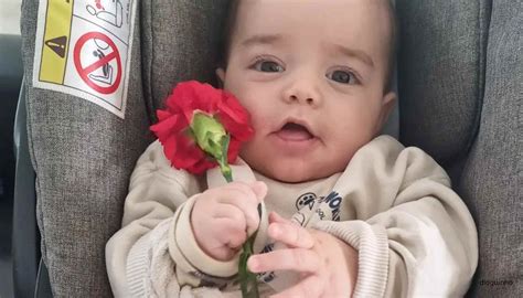 Luís Filipe Borges Filho Do Humorista Esteve Internado Existem Boas