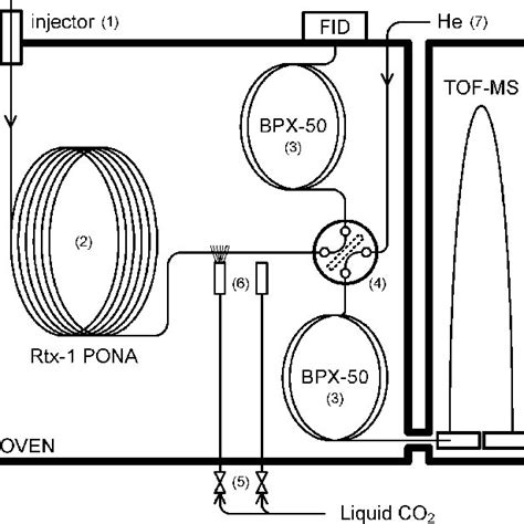 Schematic Overview Of The Gc × Gc Fid Tof Ms Setup 1 Download