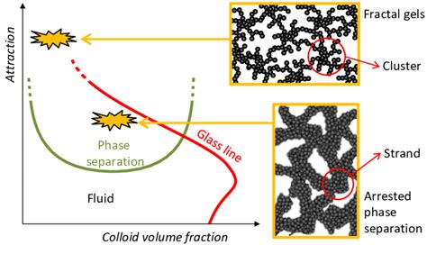 Schematic State Diagram For Colloidal Particles With Short Range Download Scientific Diagram