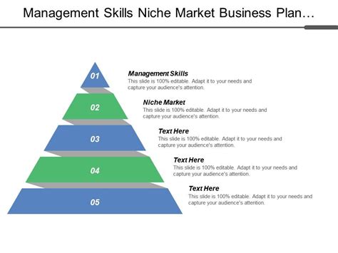 Management Skills Niche Market Business Plan Analysis Marketing Mix