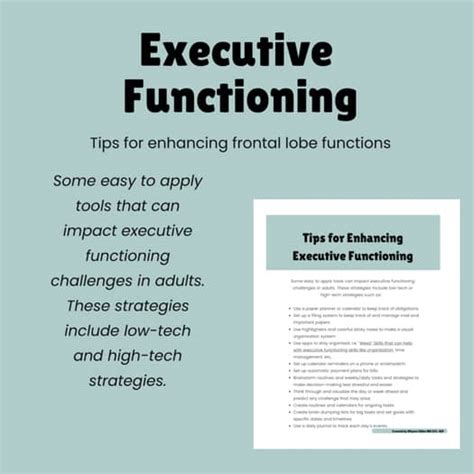 Executive Function Strategies Toolkit Slp Resource By Allybee Speech