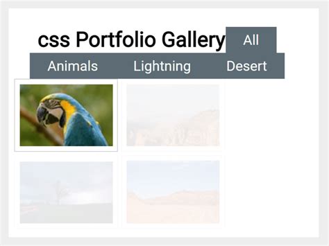 Pure Css Tabs Without Javascript — Codepel