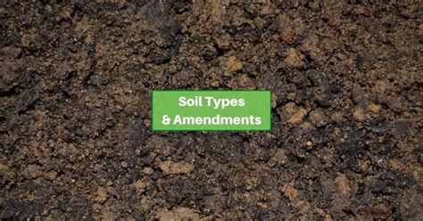 The Art And Science Of Soil In Gardening Yards Improved