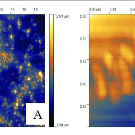 The Schematic Of Core Shell Fe3o4 Gold Chitosan Nanocomposite Download Scientific Diagram