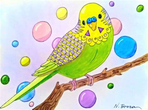 Bird Drawing Budgie At Nettie Cox Blog