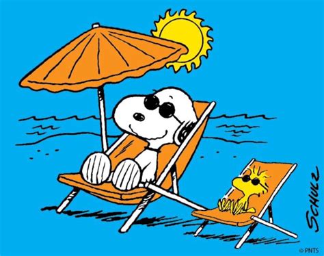 Snoopy Snoopy Cartoon Peanuts Cartoon Peanuts Snoopy Peanuts Comics