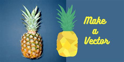 How To Make A Vector Image In Illustrator Examples