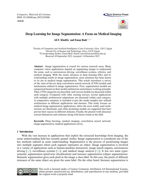 Pdf Deep Learning For Image Segmentation A Focus On Medical Imaging