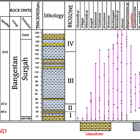 Biostratigraphy Column And Fossil Assemblages Of The Surgah Formation