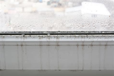 품질이 좋지 않습니다 환기가 좋지 않아 플라스틱 창문의 품질이 좋지 않아 창문과 창문 틀에 검은 곰팡이가 생겼습니다 금형은 건강에 위험합니다 0명에 대한 스톡 사진 및 기타