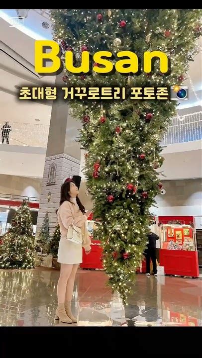 🎅🏻거꾸로 트리가 있는곳⁉️ 지금 당장 달려가야하는 이유 롯데백화점 크리스마스트리 대형크리스마스트리 크리스마스마켓 트리포토존 Youtube