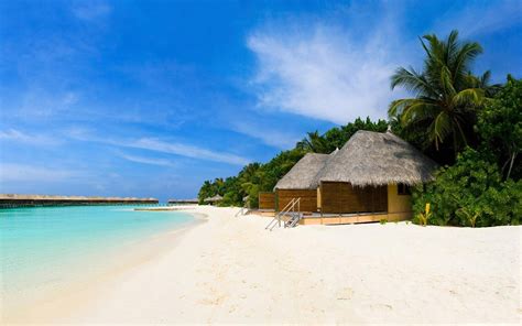 Sea Beach Sand Wallpaper