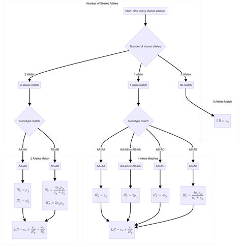 Simulation Of Str Pairs And Calculation Of Likelihood Ratios