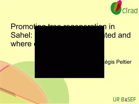 Promoting Tree Regeneration In Sahel Why Is It So Complicated And