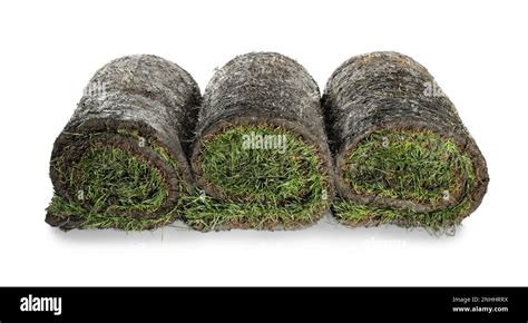 Sod Grass Roll Size At Alicia Faucett Blog
