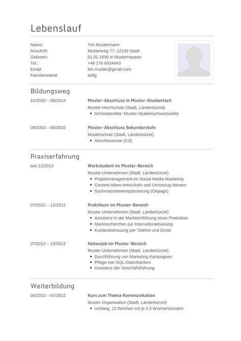 Lebenslauf Muster Für Programmierer Lebenslauf Designs