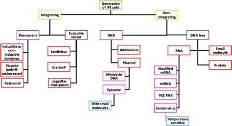 Generating Ipscs Translating Cell Reprogramming Science Into Scalable And Robust
